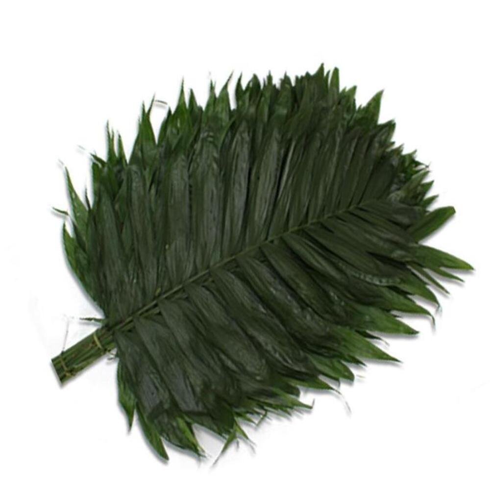 CAMEDOR - Distribudora Hermanos Rojas