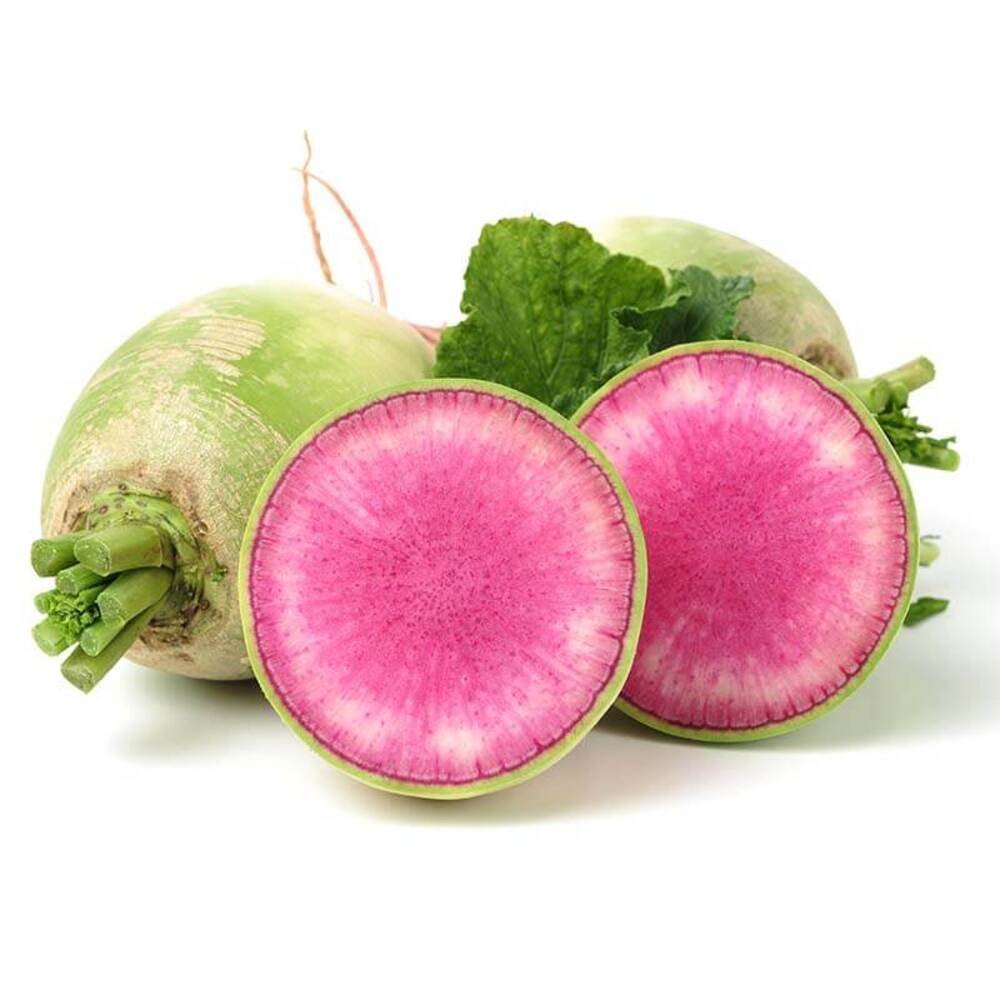 RABANO SANDIA - Distribudora Hermanos Rojas